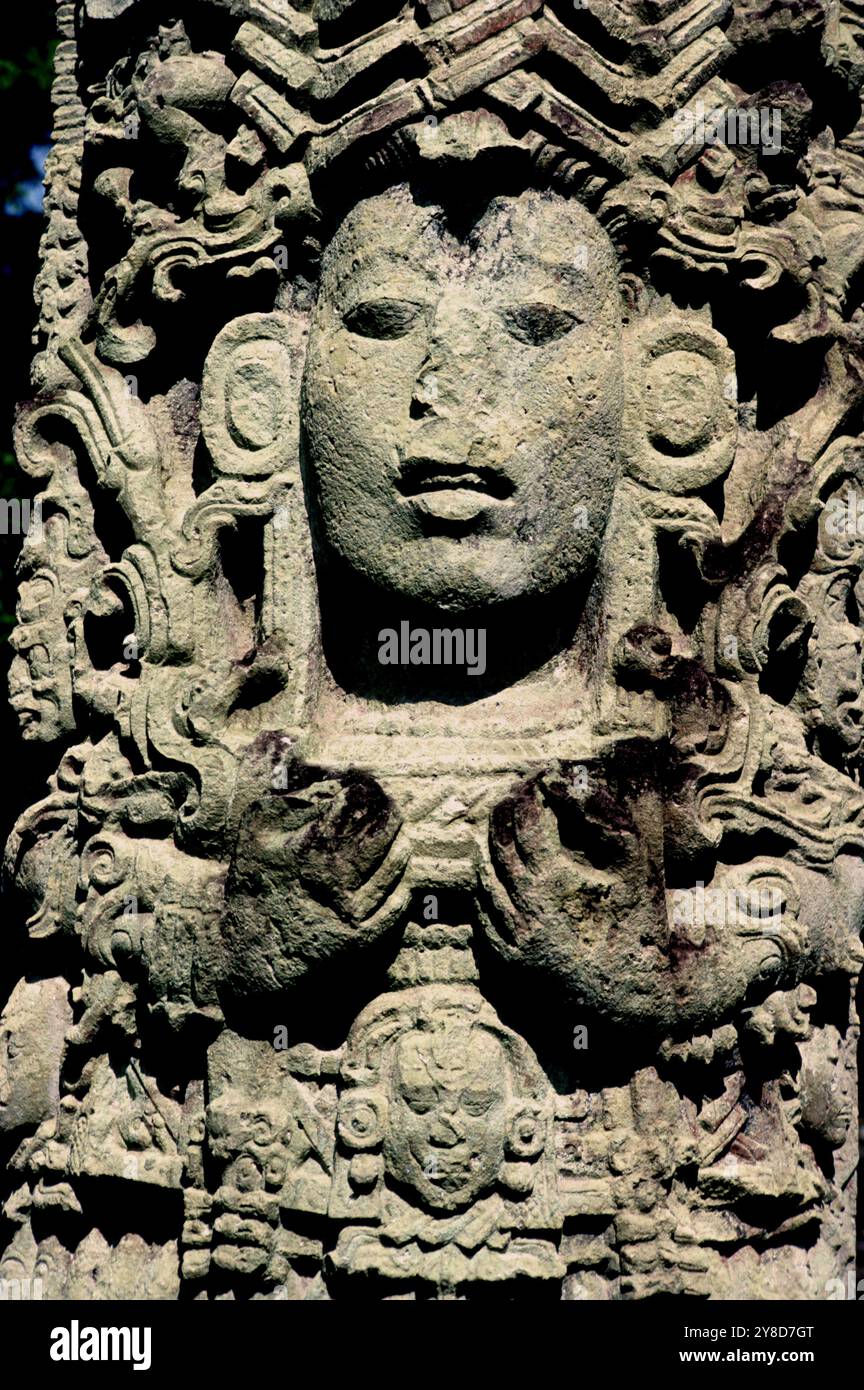 Late Classic period Maya stelae at Copan Maya ruins, Honduras Stock ...
