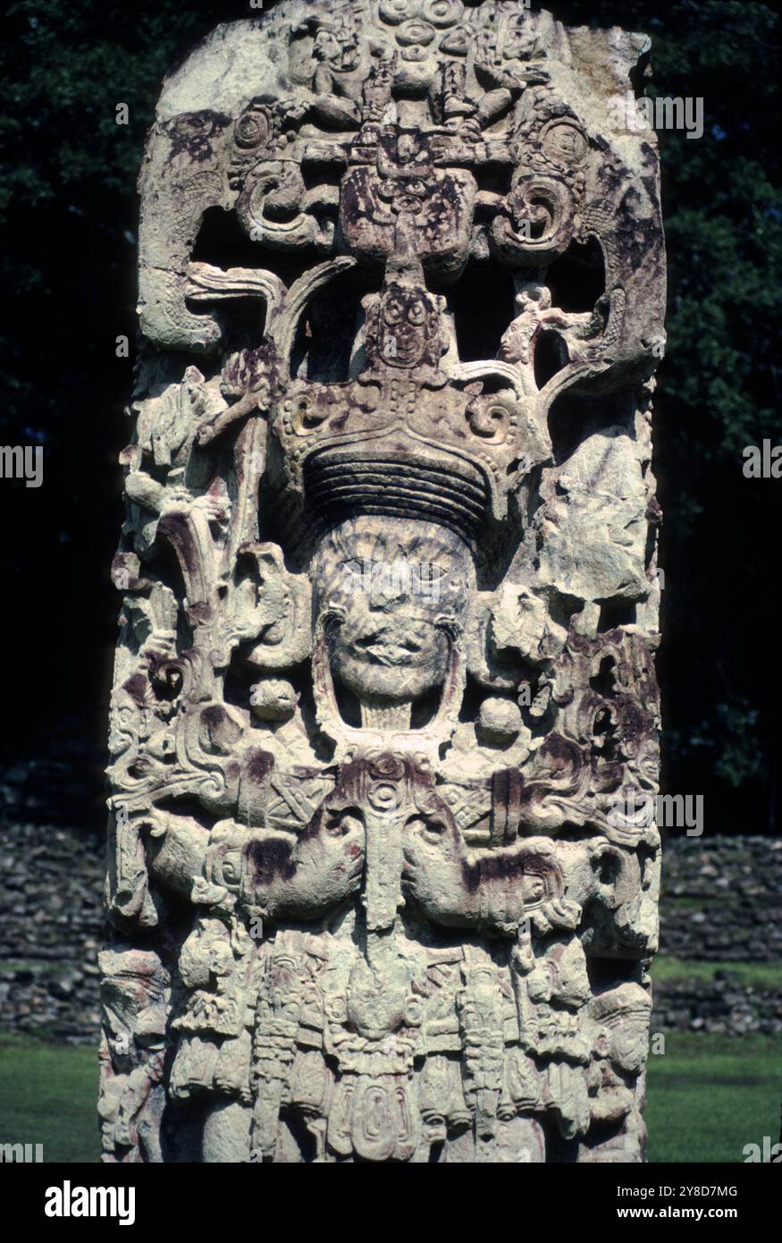 Late Classic period Maya stelae at Copan Maya ruins, Honduras Stock ...