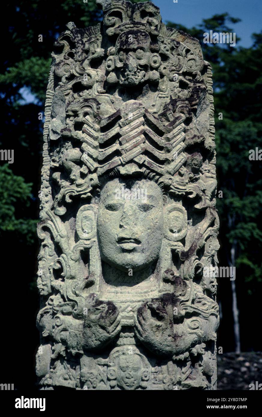 Late Classic period Maya stelae at Copan Maya ruins, Honduras Stock ...