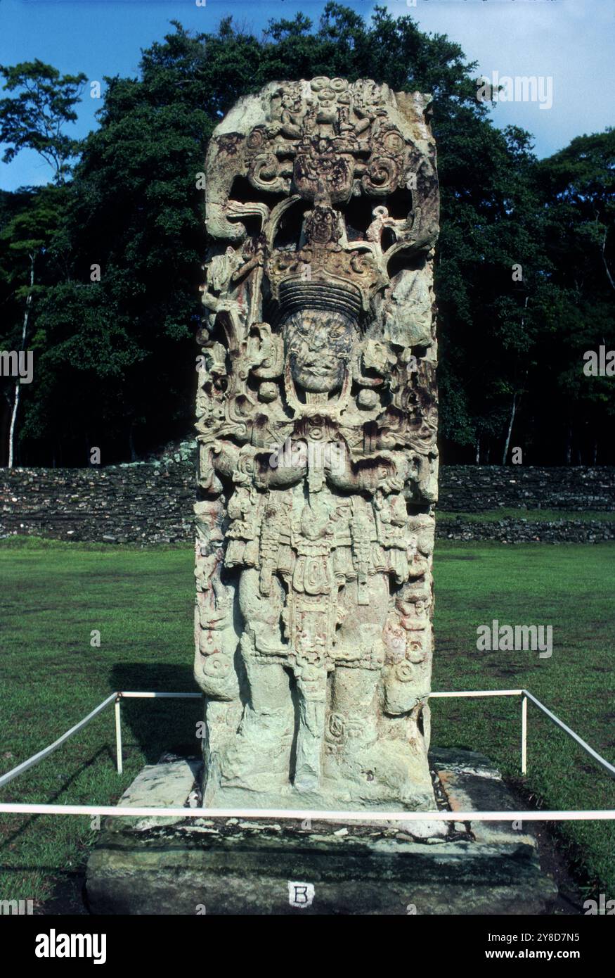 Late Classic period Maya stelae at Copan Maya ruins, Honduras Stock ...