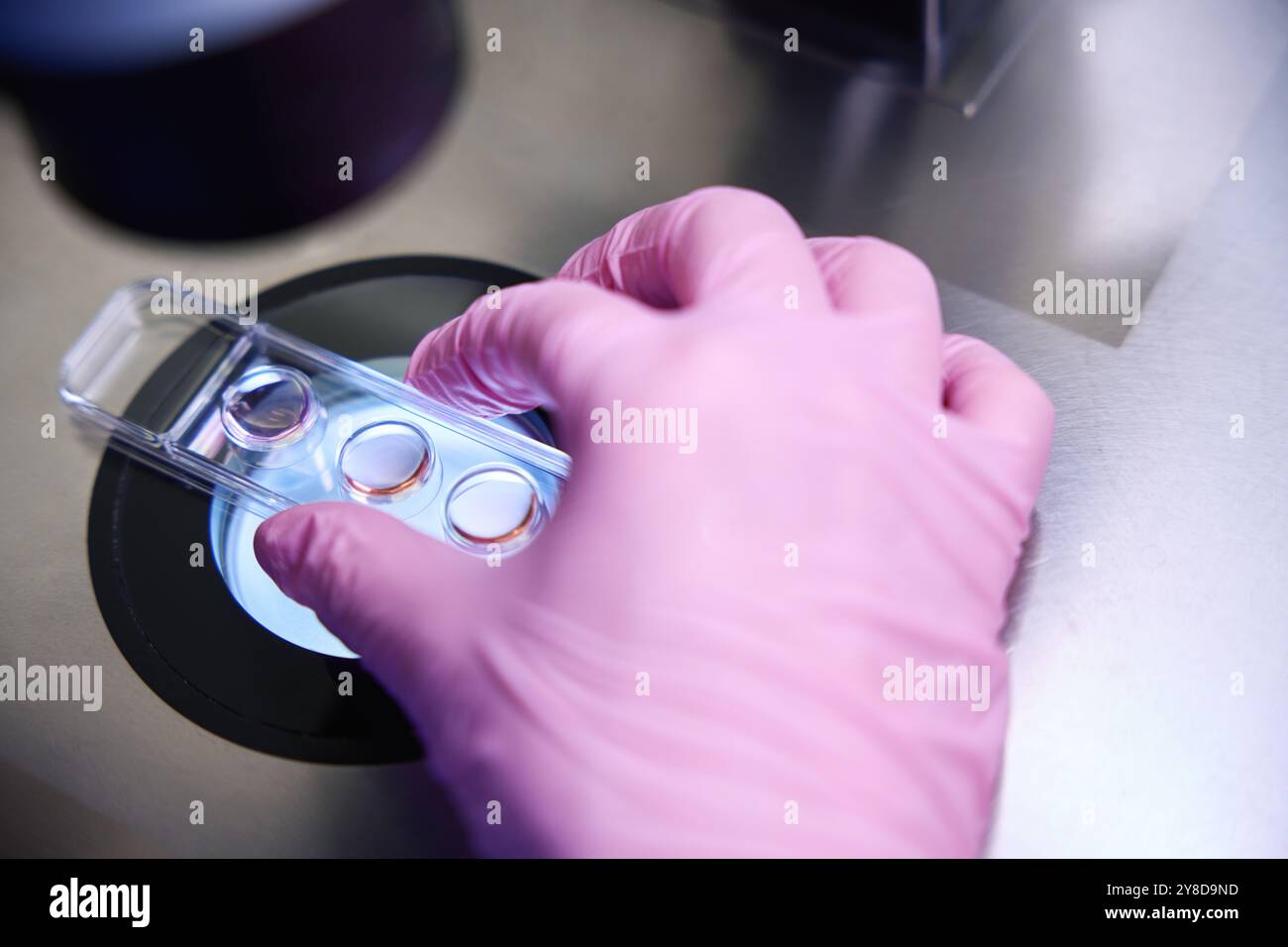 Close-up of embryologist positioning a sample under a microscope Stock ...