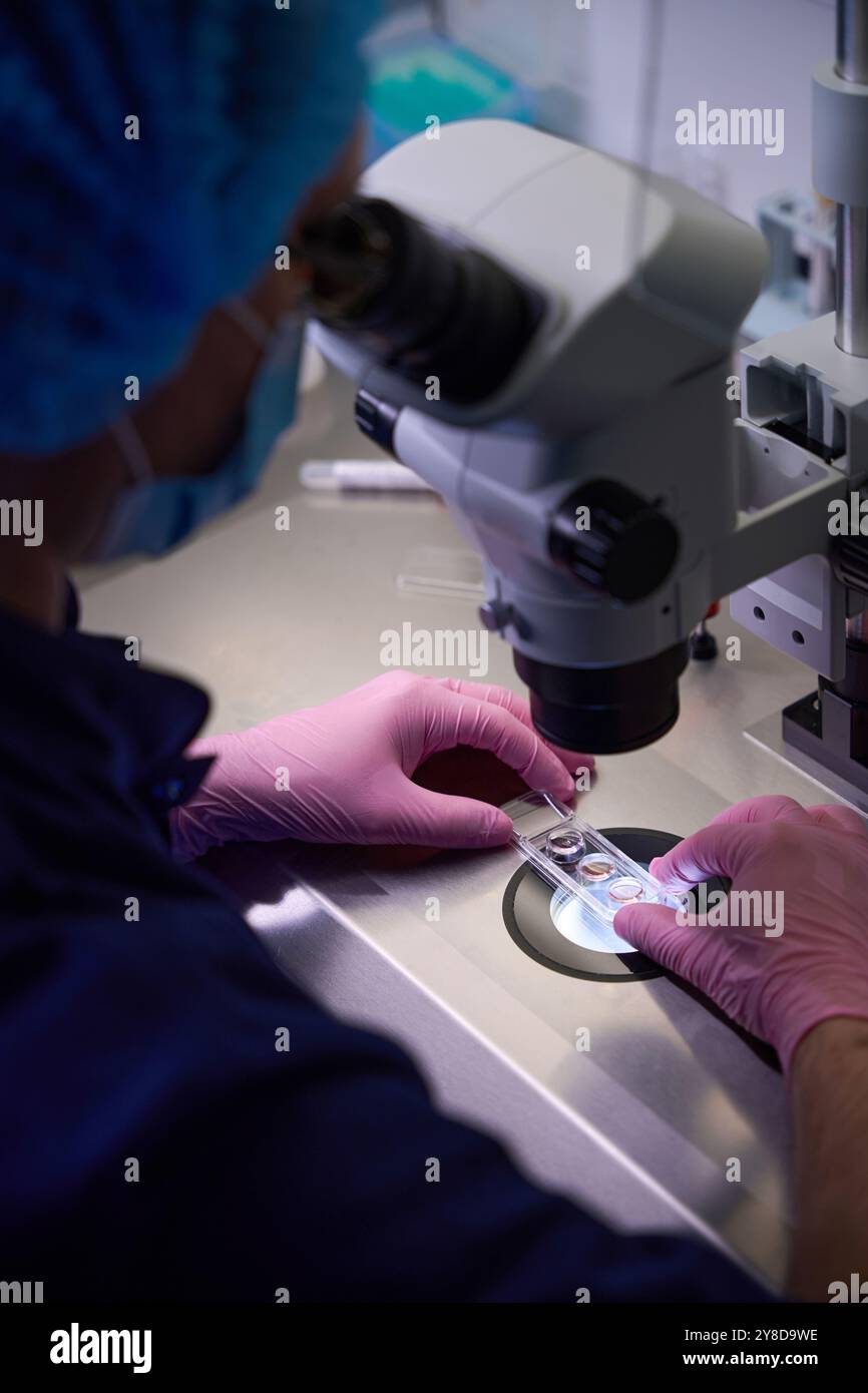 Doctor positioning a sample under a microscope for analysis Stock Photo ...