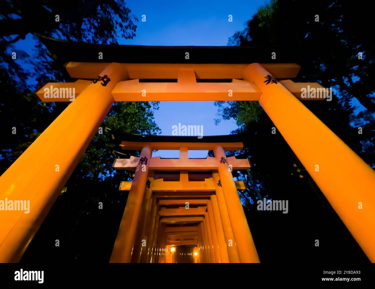 The Fushimi Inari taisha Grand Shrine in Kyoto, Japan, famous for the ...