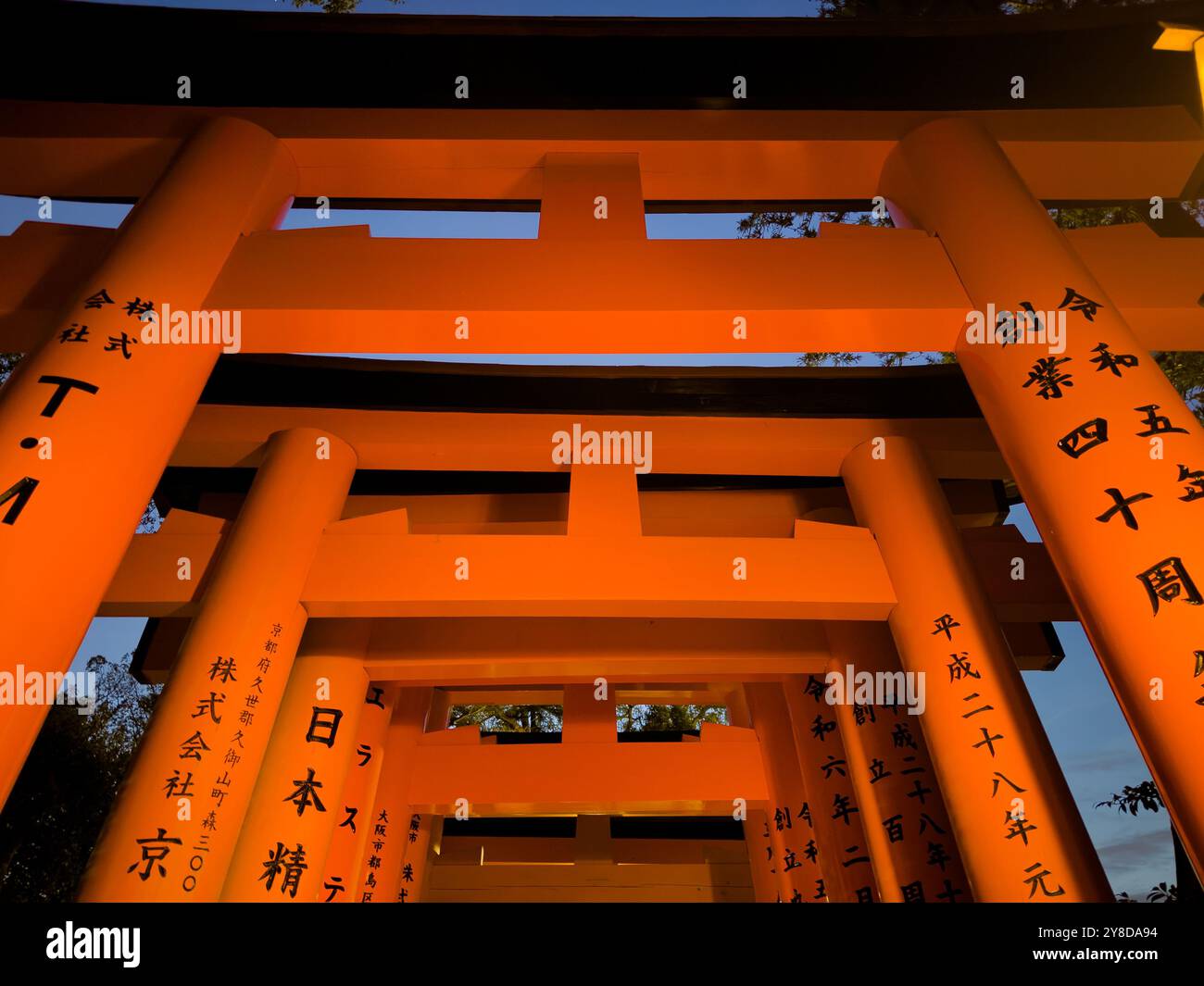The Fushimi Inari taisha Grand Shrine in Kyoto, Japan, famous for the ...