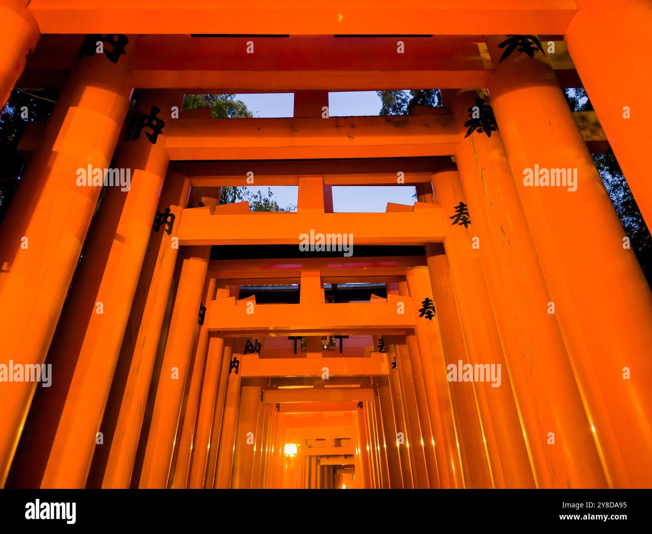 The Fushimi Inari taisha Grand Shrine in Kyoto, Japan, famous for the ...