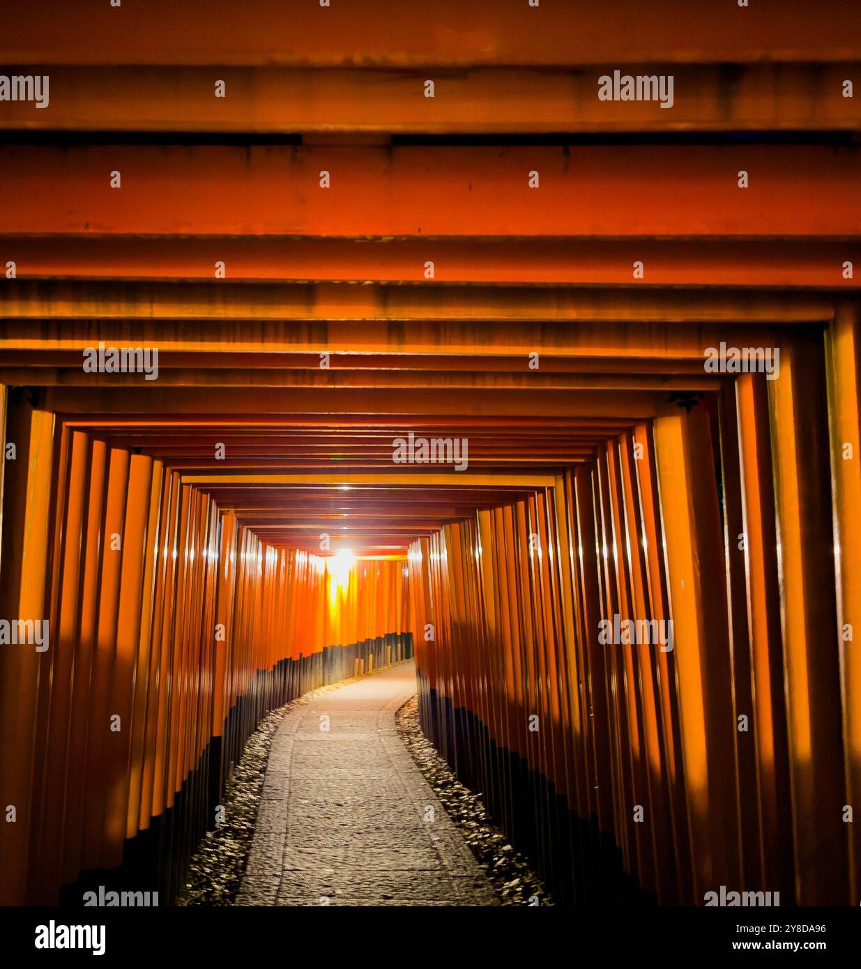The Fushimi Inari taisha Grand Shrine in Kyoto, Japan, famous for the ...