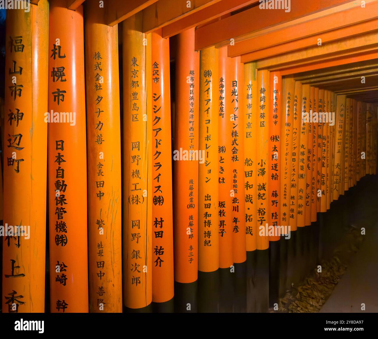 The Fushimi Inari taisha Grand Shrine in Kyoto, Japan, famous for the ...
