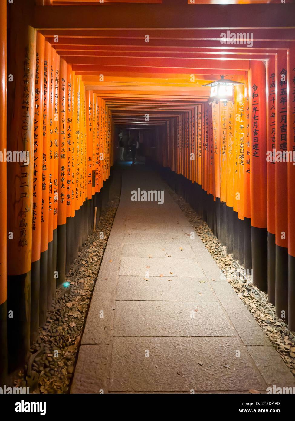 The Fushimi Inari taisha Grand Shrine in Kyoto, Japan, famous for the ...