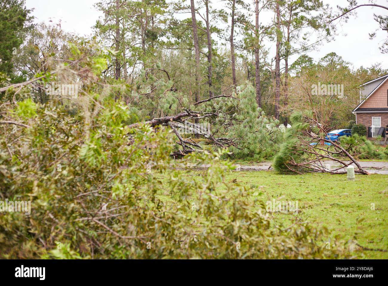 Property damage of Hurricane Helene the day after it hit Southern ...