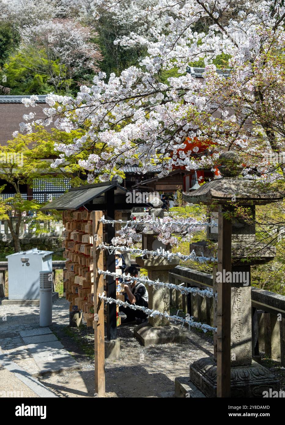 Outside space of a Shinto temple in Spring, Japan, Omikuji small ...