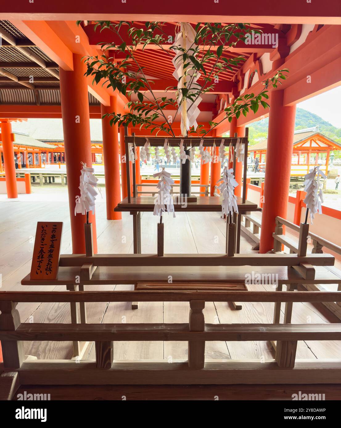 Omikuji small fortune telling papers tied on a wooden stand ...