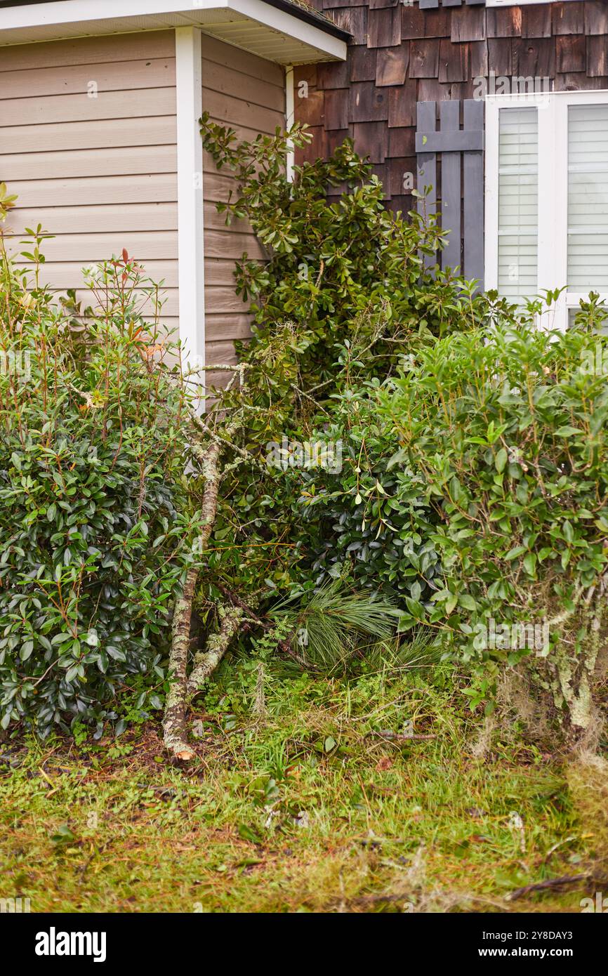 Property damage of Hurricane Helene the day after it hit Southern ...