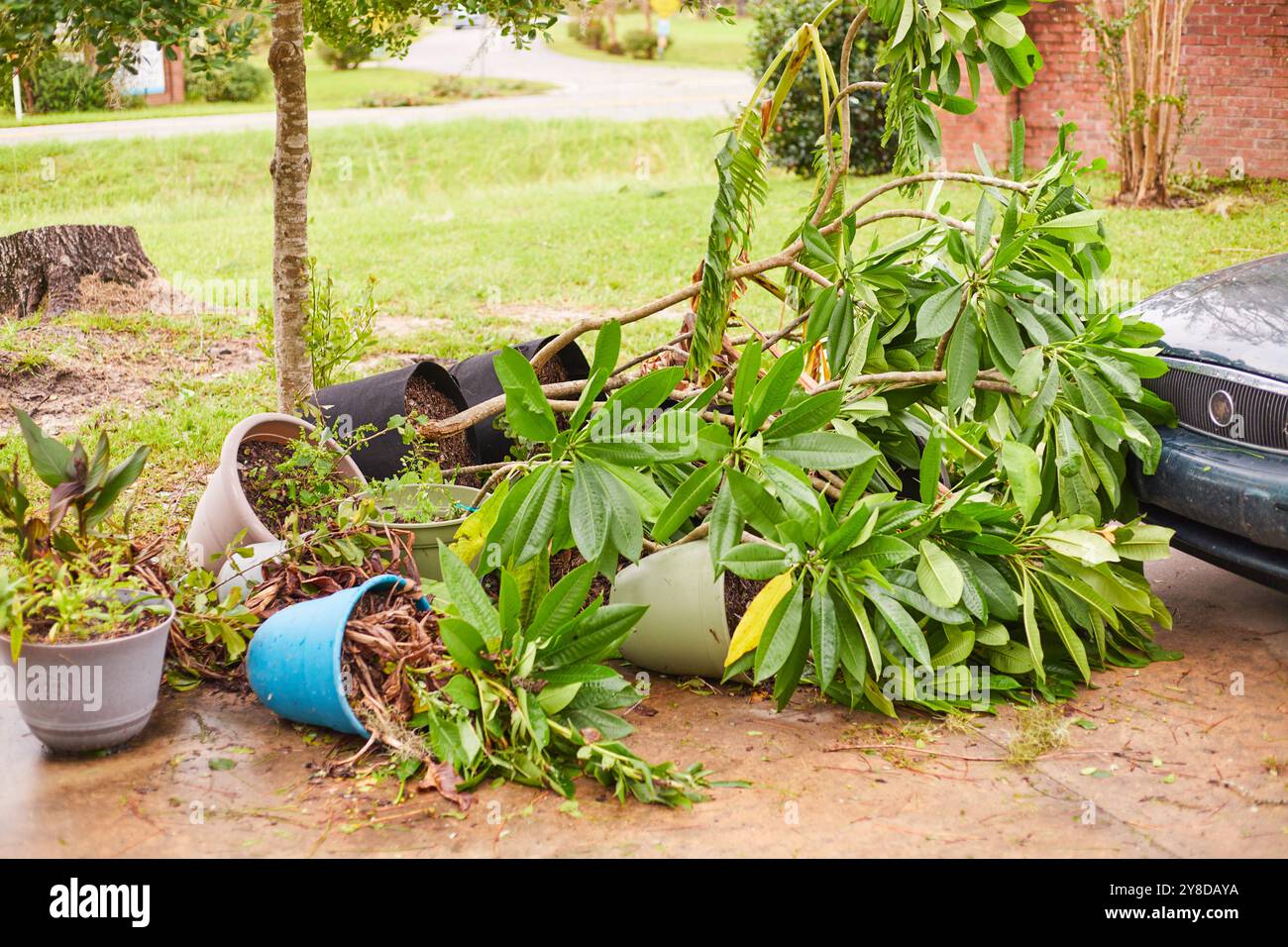 Property damage of Hurricane Helene the day after it hit Southern ...