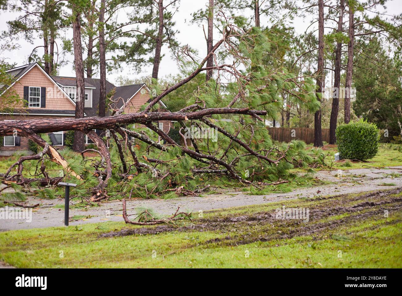 Property damage of Hurricane Helene the day after it hit Southern ...