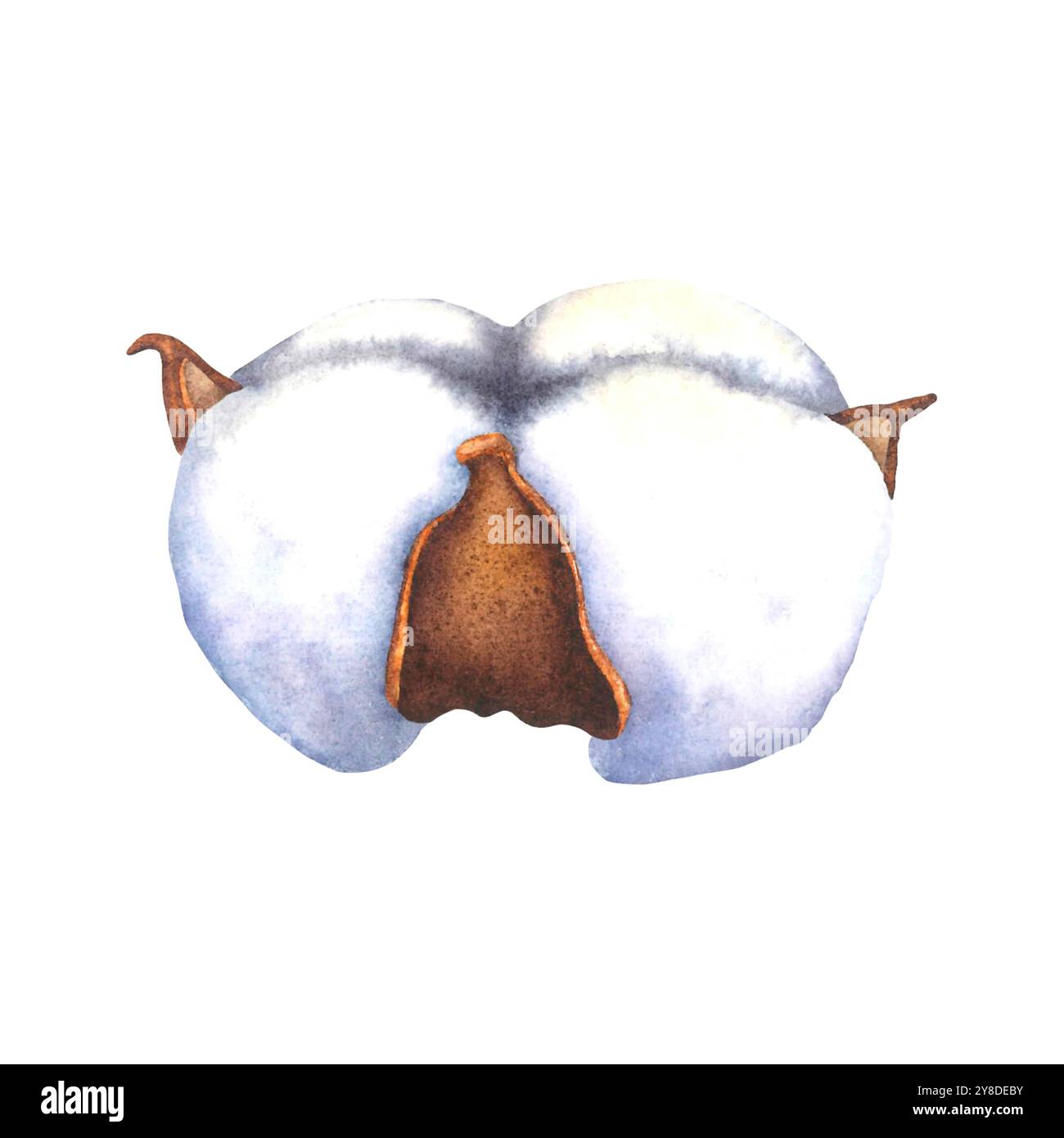 Rounded seed capsule hi-res stock photography and images - Alamy