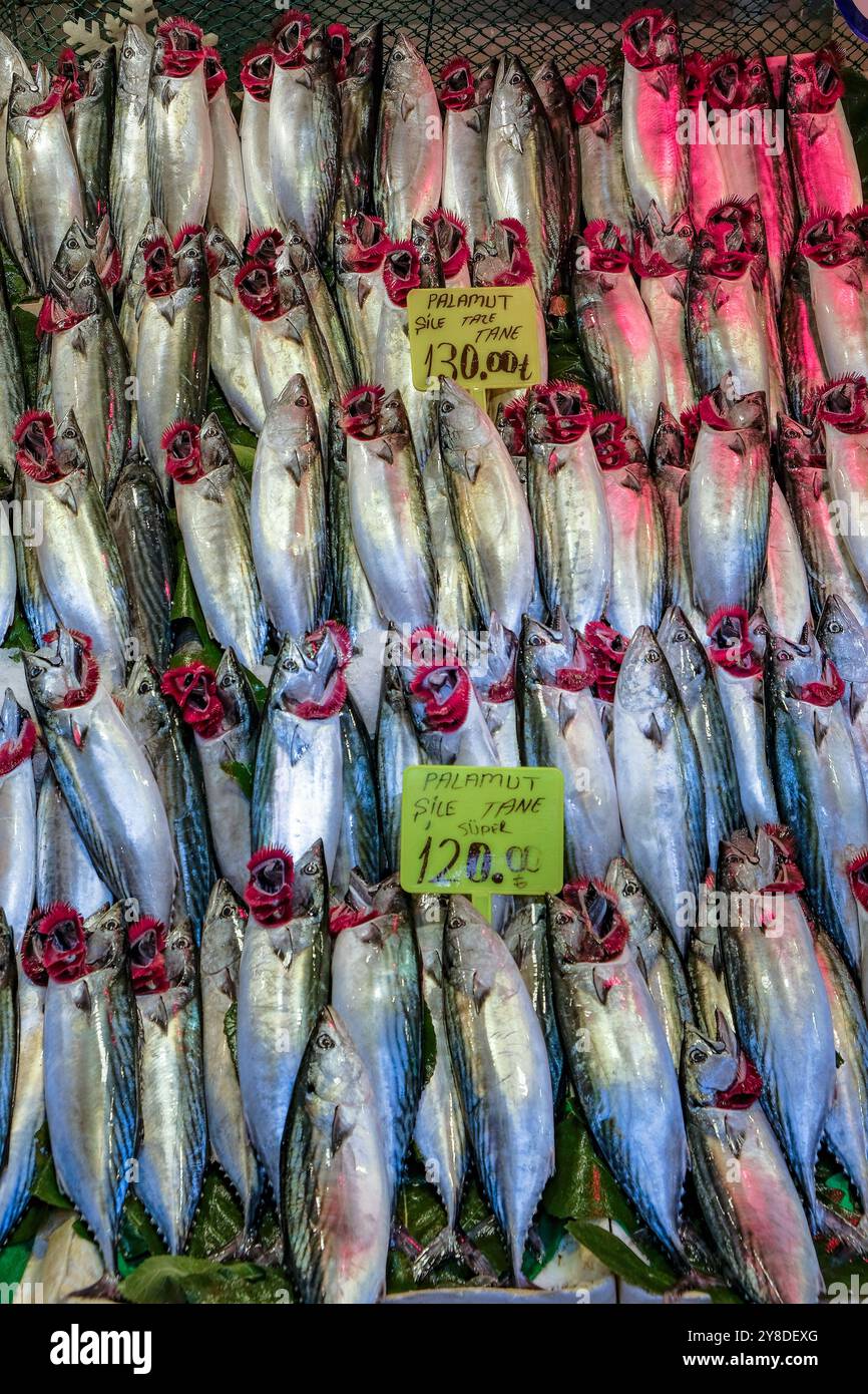 Istanbul, Turkey - September 18, 2024: Atlantic bonito fish stall, also ...