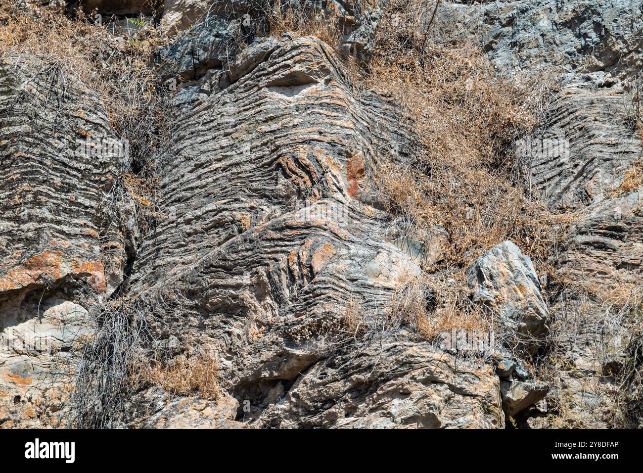 Folded thin beds of limestone outcrop. Peru, South America Stock Photo ...