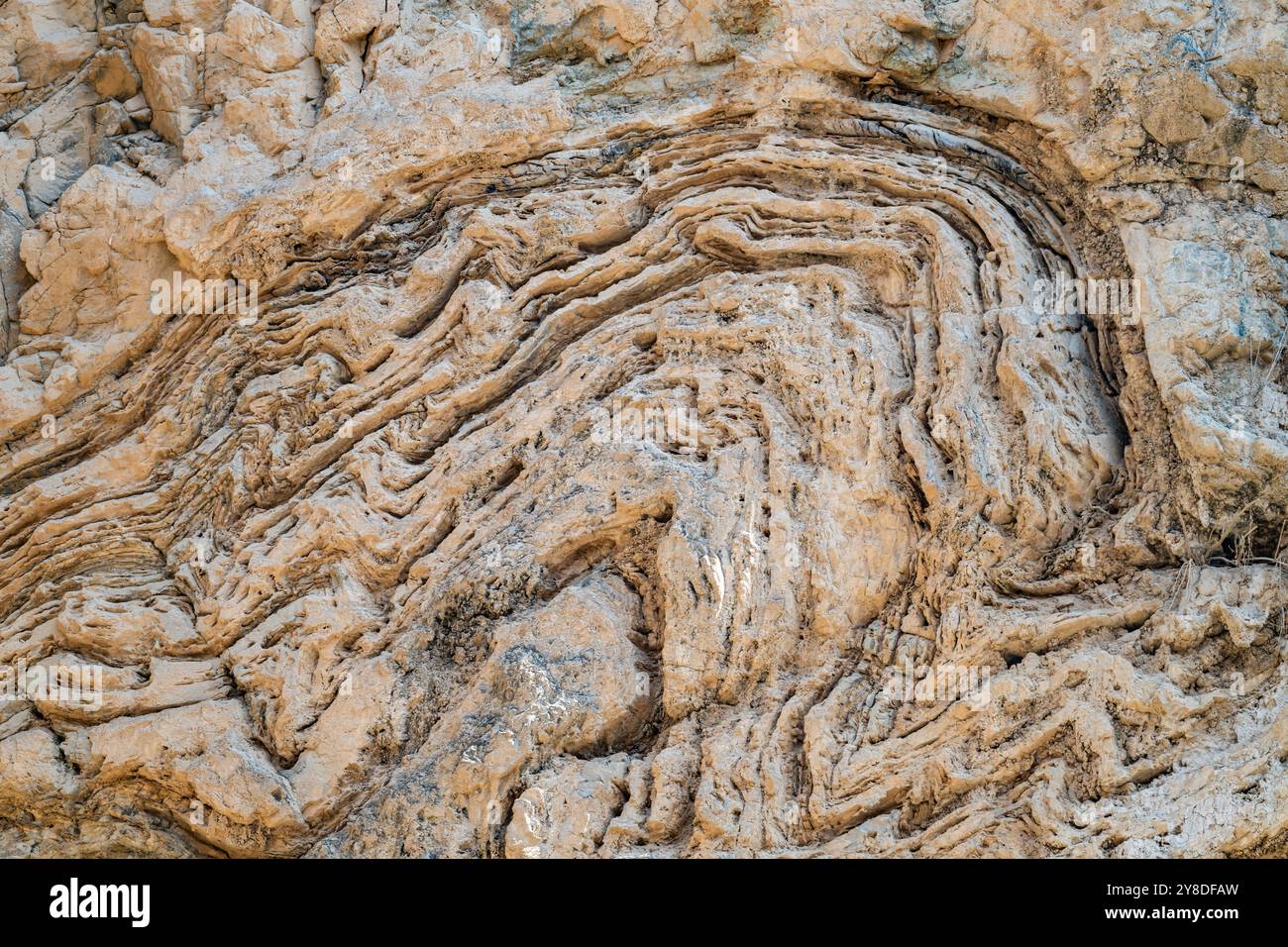 Folded thin beds of limestone outcrop. Peru, South America Stock Photo ...