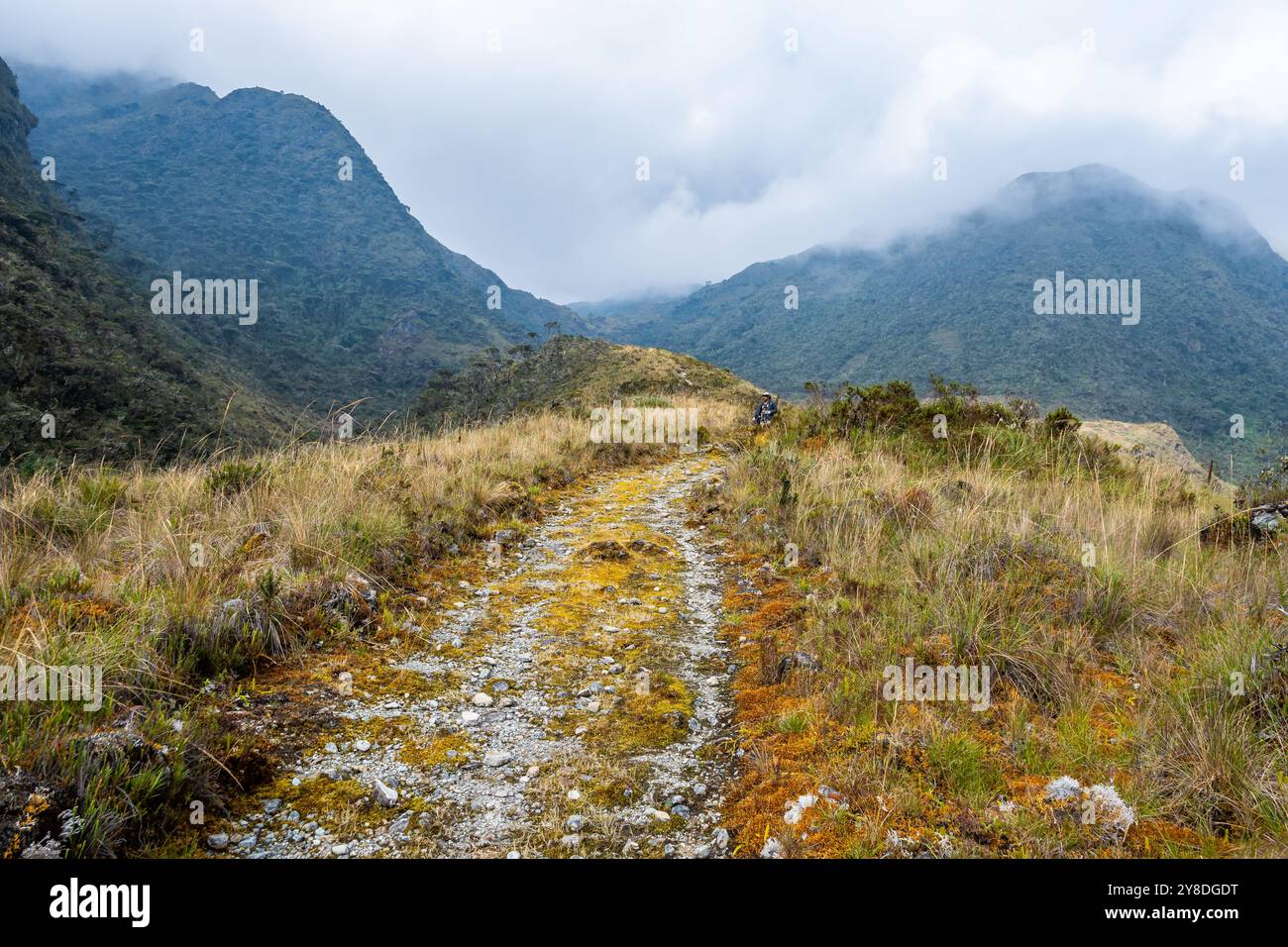 Trail over high Andes mountains. Peru, South America Stock Photo - Alamy
