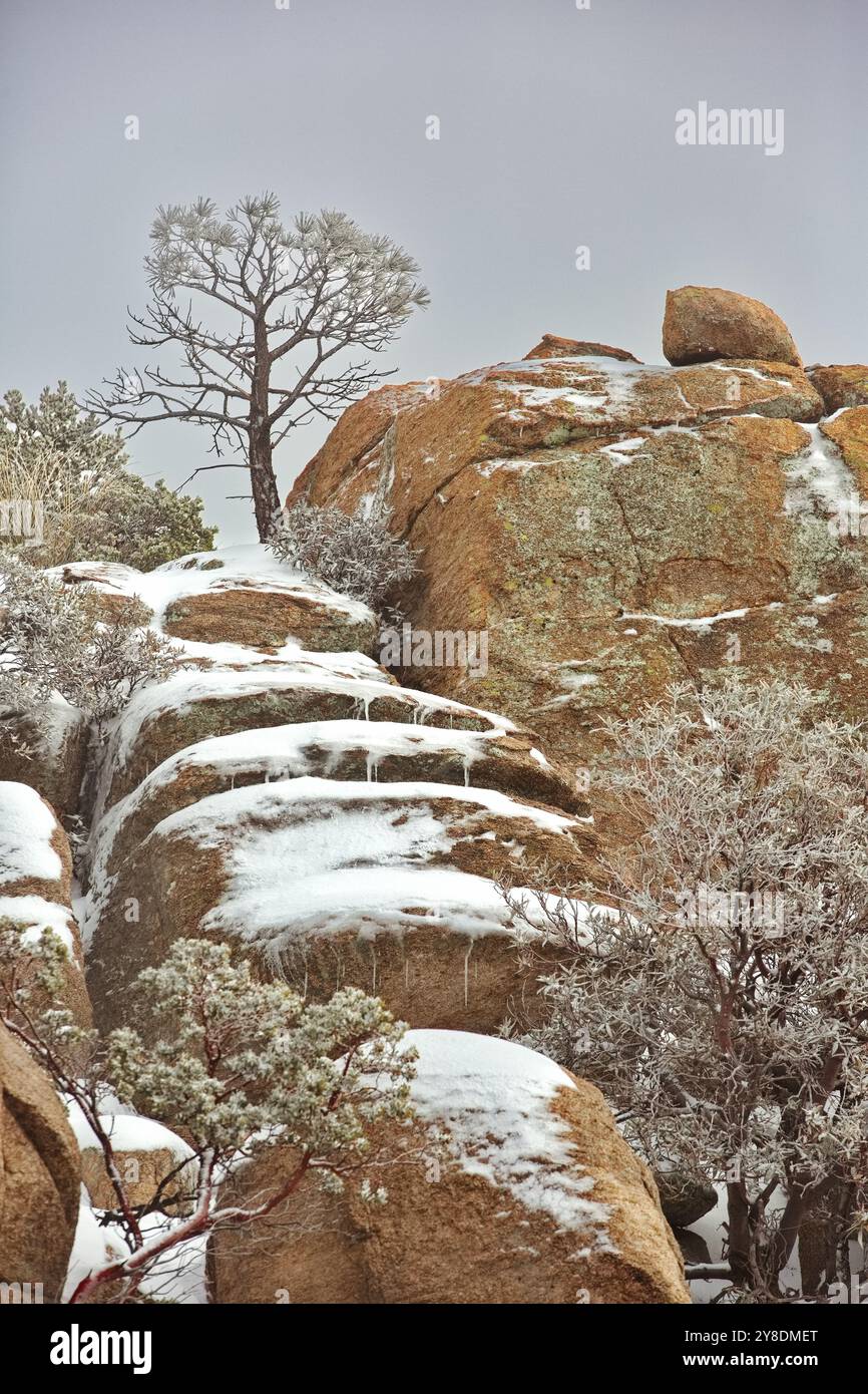 Rocky slope creates snowy steps to winter tree on Mt Lemmon, a Sky ...