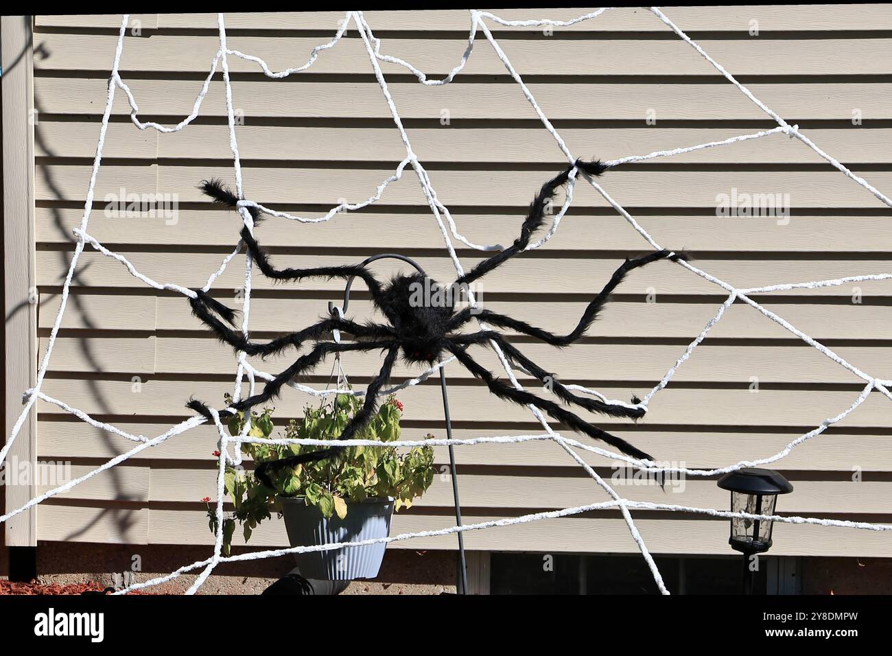 large sider web display Stock Photo - Alamy