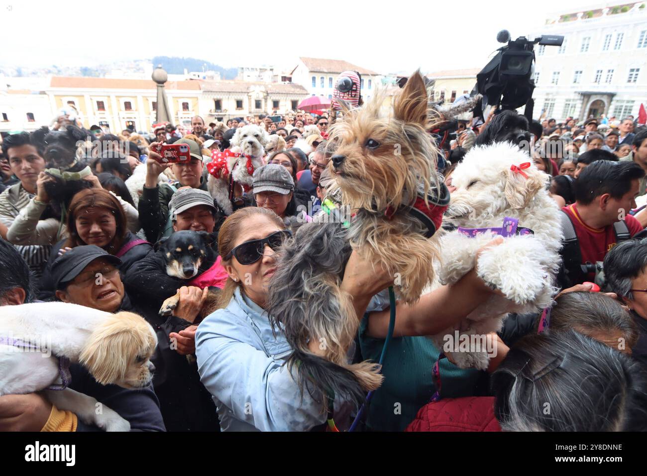 Dia mundial de los animales hi-res stock photography and images - Alamy
