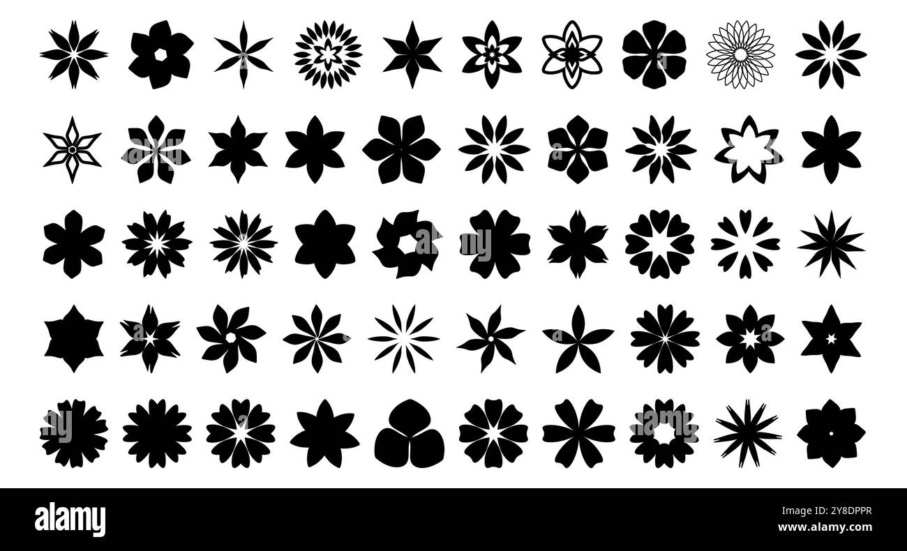 Daisy elements Black and White Stock Photos & Images - Alamy
