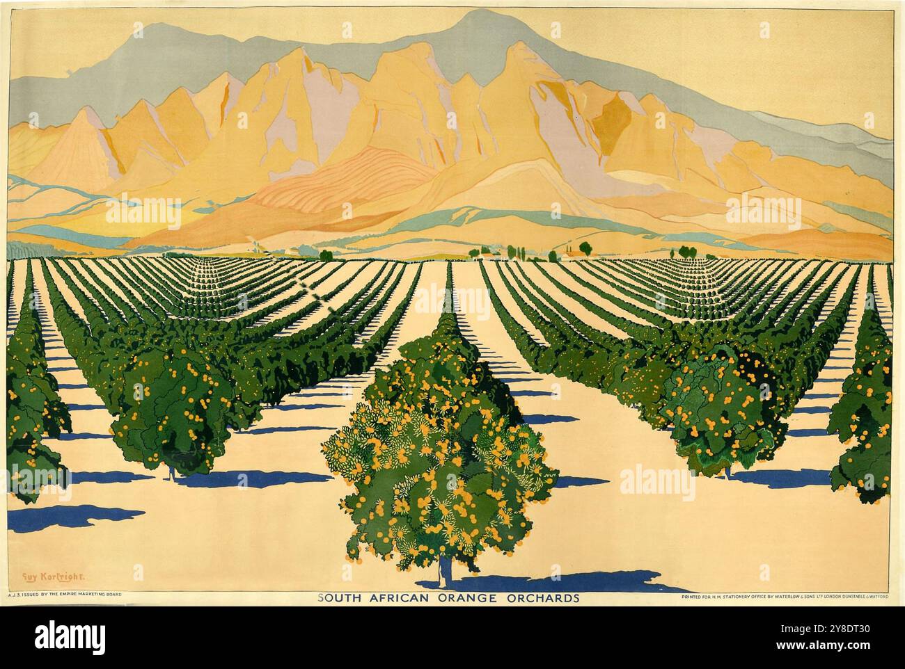 South African Orange Orchards; Vintage Poster issued by the British ...