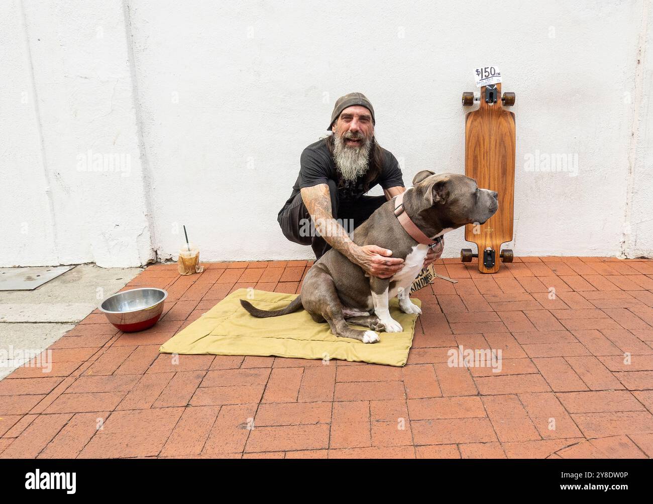 Tom the homeless skateboard builder with his pitbull dog Tank Stock ...