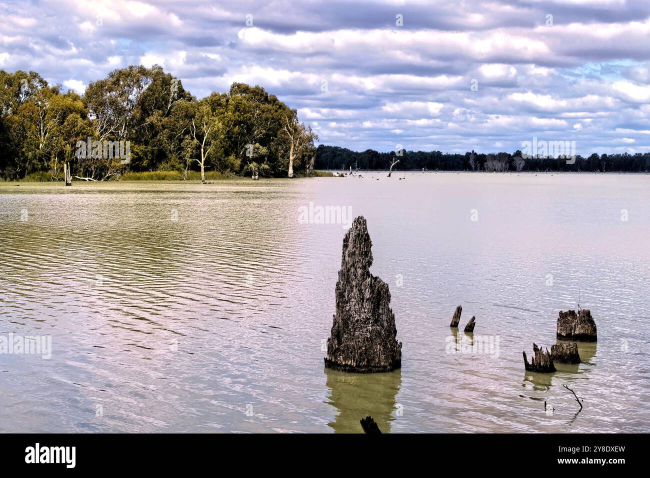 Murray River , Mildura, Victoria, Australia Stock Photo - Alamy