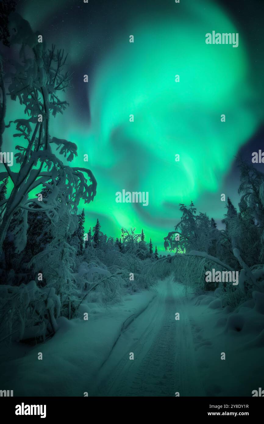 Intense green aurora dancing over hi-res stock photography and images ...