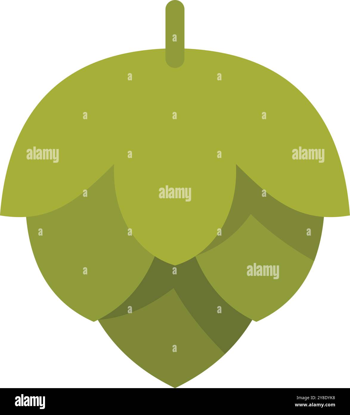 Simple vector illustration of a hop growing, an essential ingredient ...