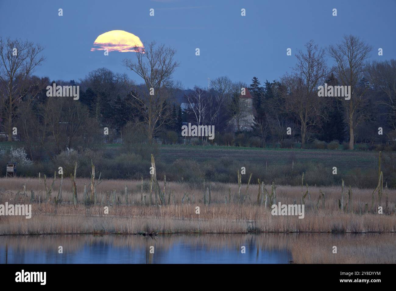 A large full moon stands low on the horizon above a quiet field and ...