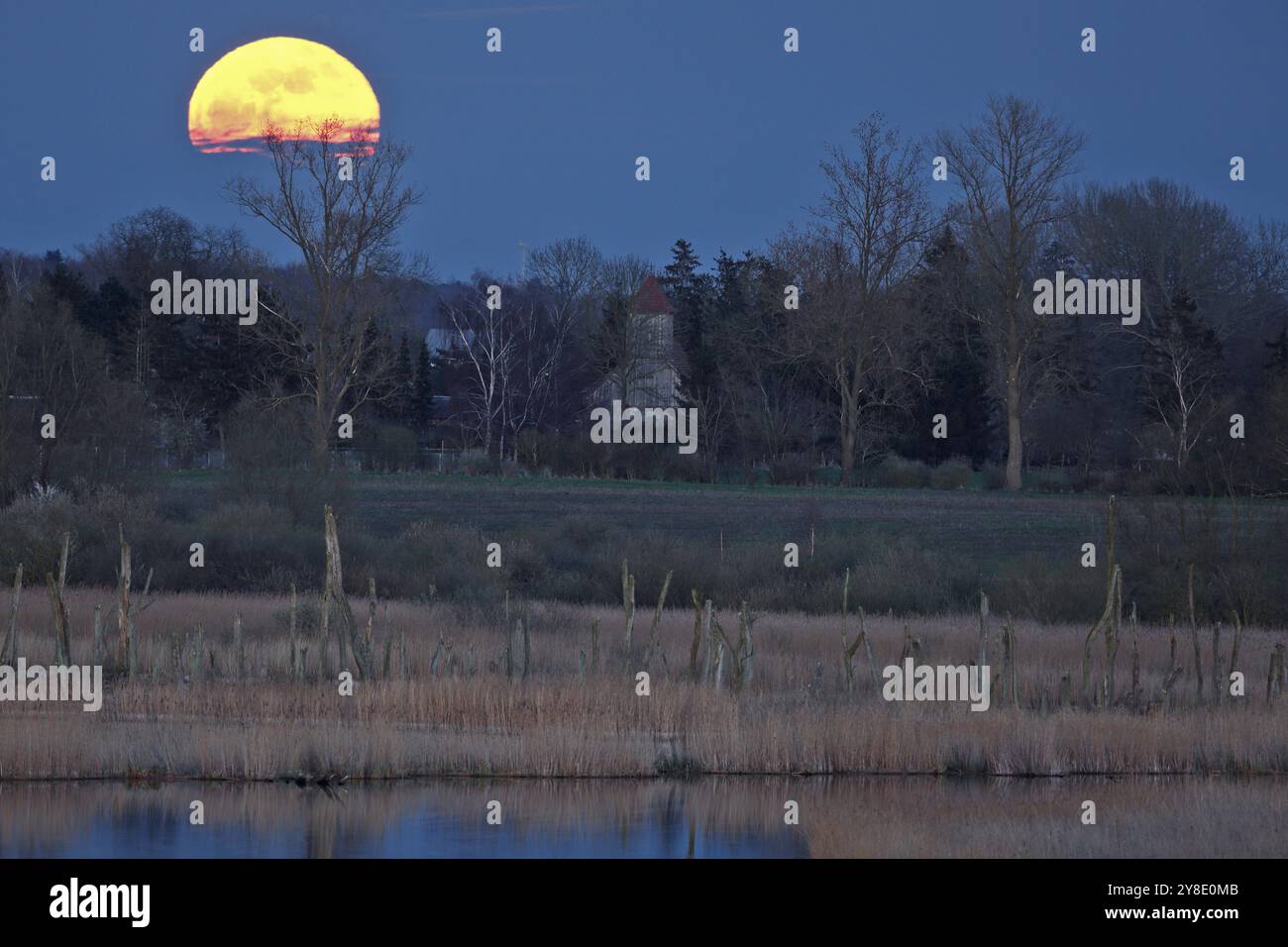 A full moon appears over a misty highland with visible trees on the ...