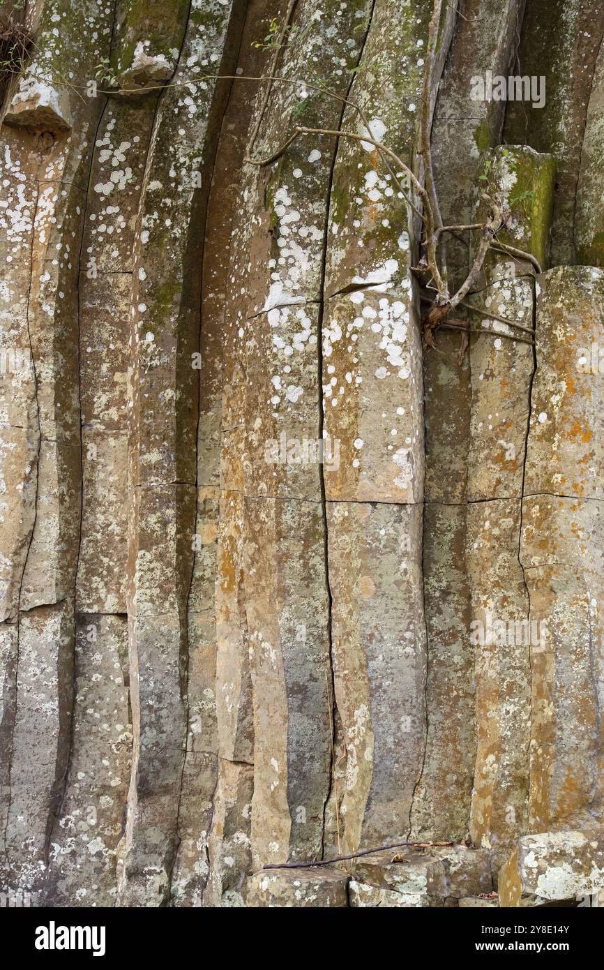 Basalt rock, columns, Rochester Fall, waterfall, Indian Ocean, island ...