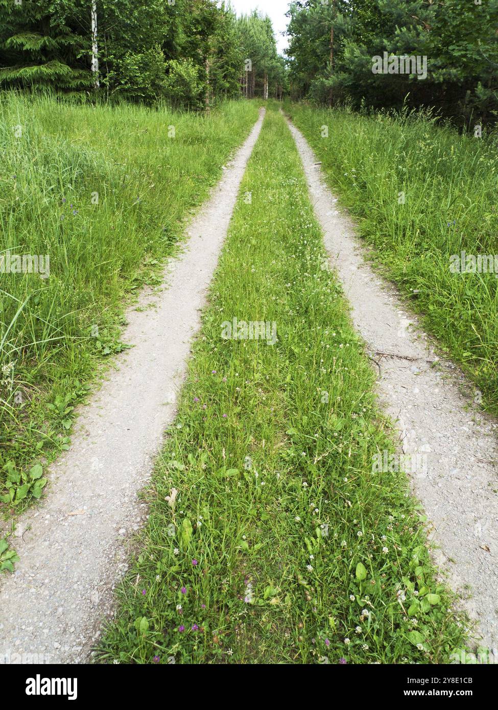 One track road hi-res stock photography and images - Alamy