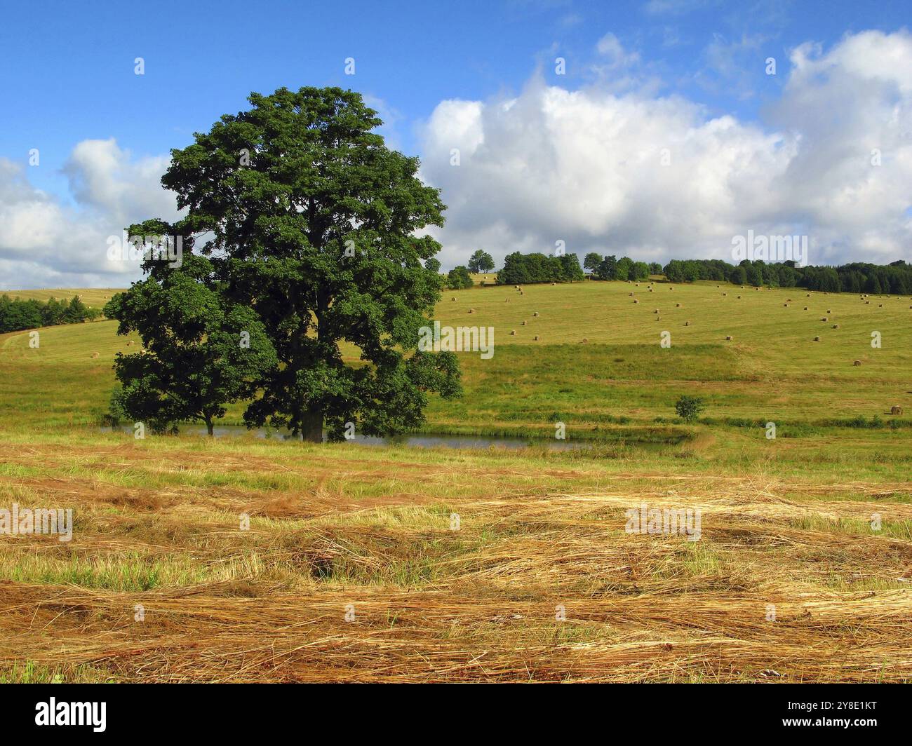 Summer lakes and landscapes hi-res stock photography and images - Alamy