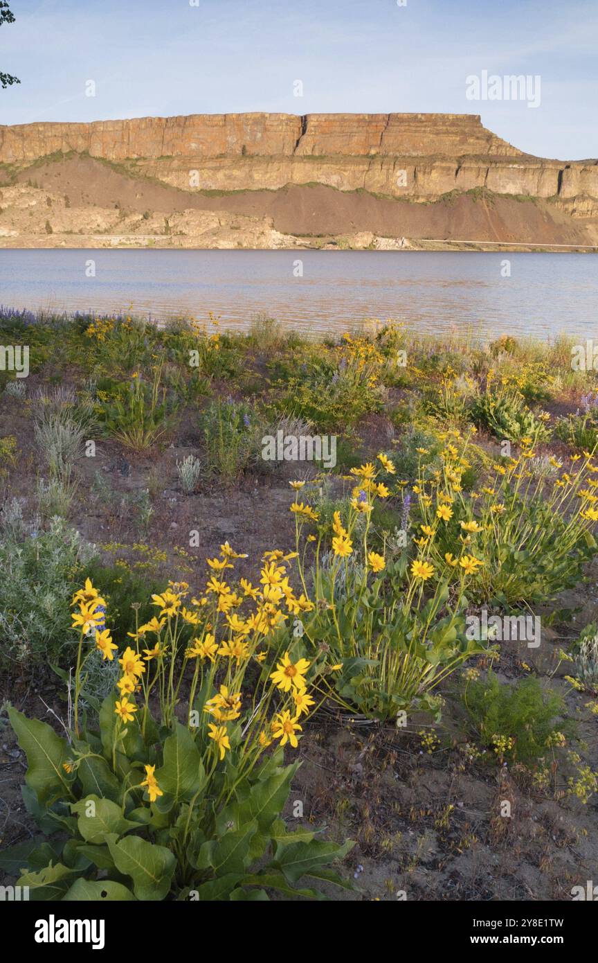 Taken from the campground at Banks Lake Washington Stock Photo - Alamy
