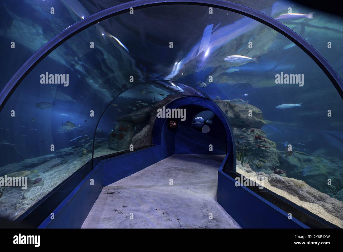 Exhibition room, aquarium, Odysseo Oceanarium Mauritius, show aquarium ...