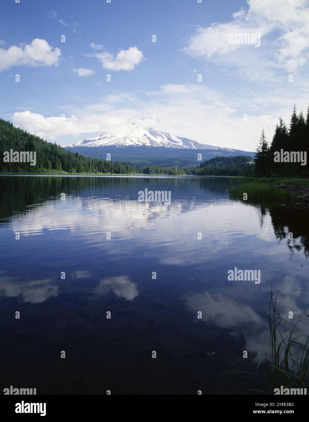 Mt.Hood with Trillium Lake, Oregon Stock Photo - Alamy