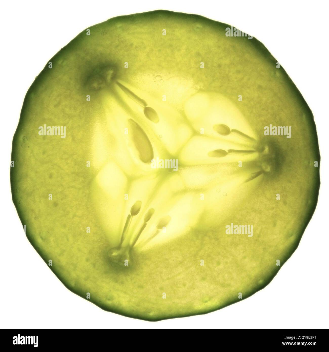 High rise detail Cut Out Stock Images & Pictures - Alamy