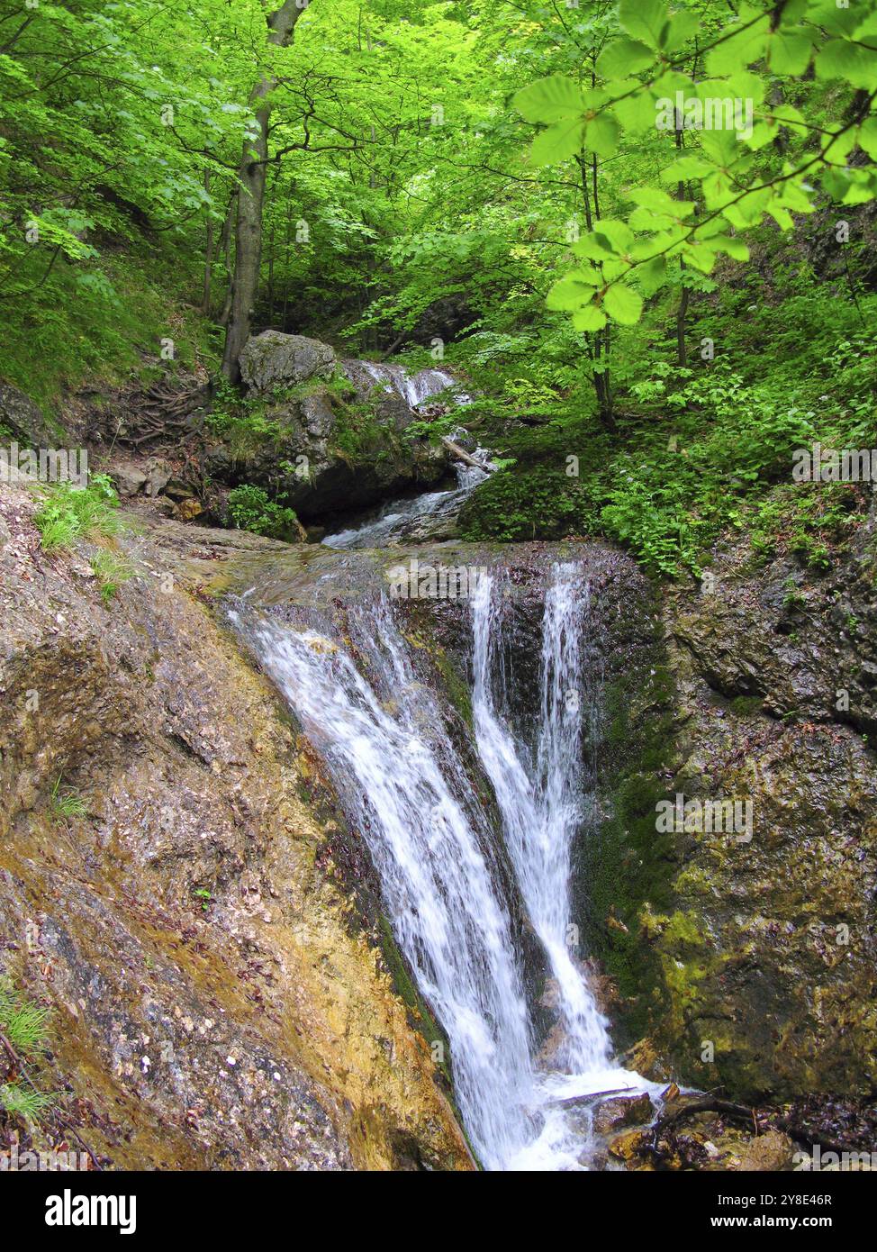 Waterfall, Mala Fatra, Slovakia, Europe Stock Photo - Alamy