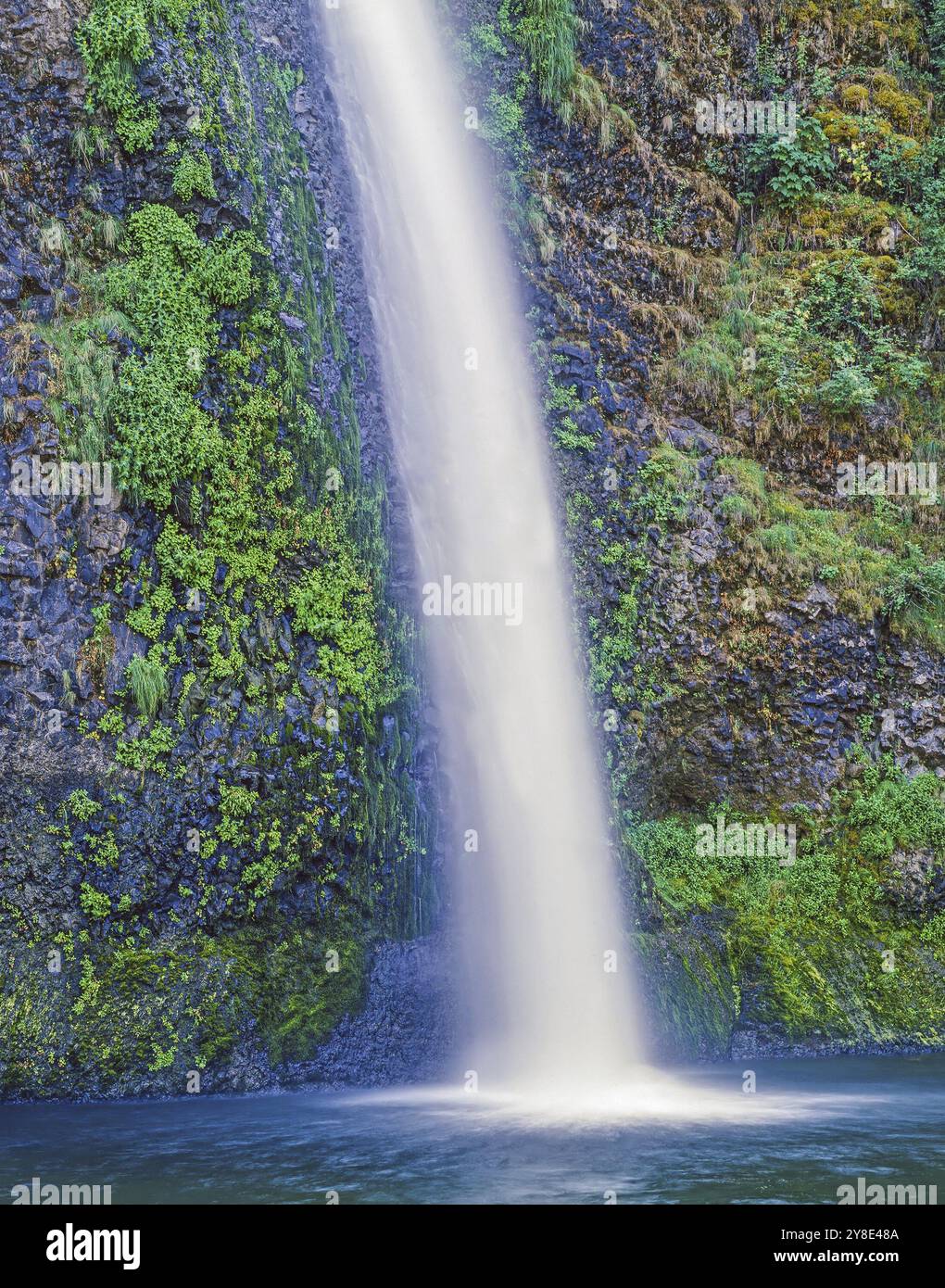Waterfall in the Olympic National Park, Washington Stock Photo - Alamy