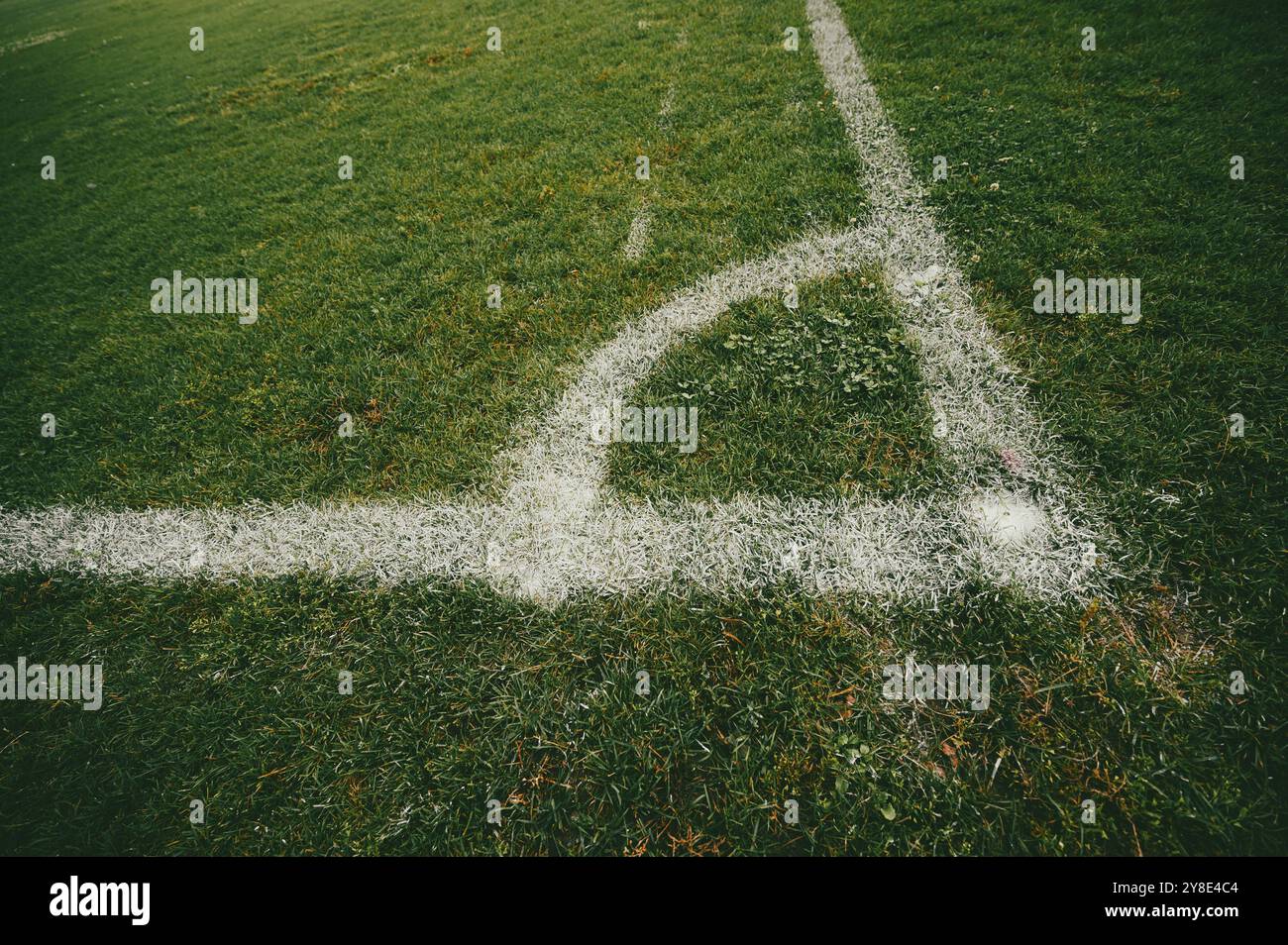 Green sports pitch with white marking lines, detailed turf Stock Photo ...