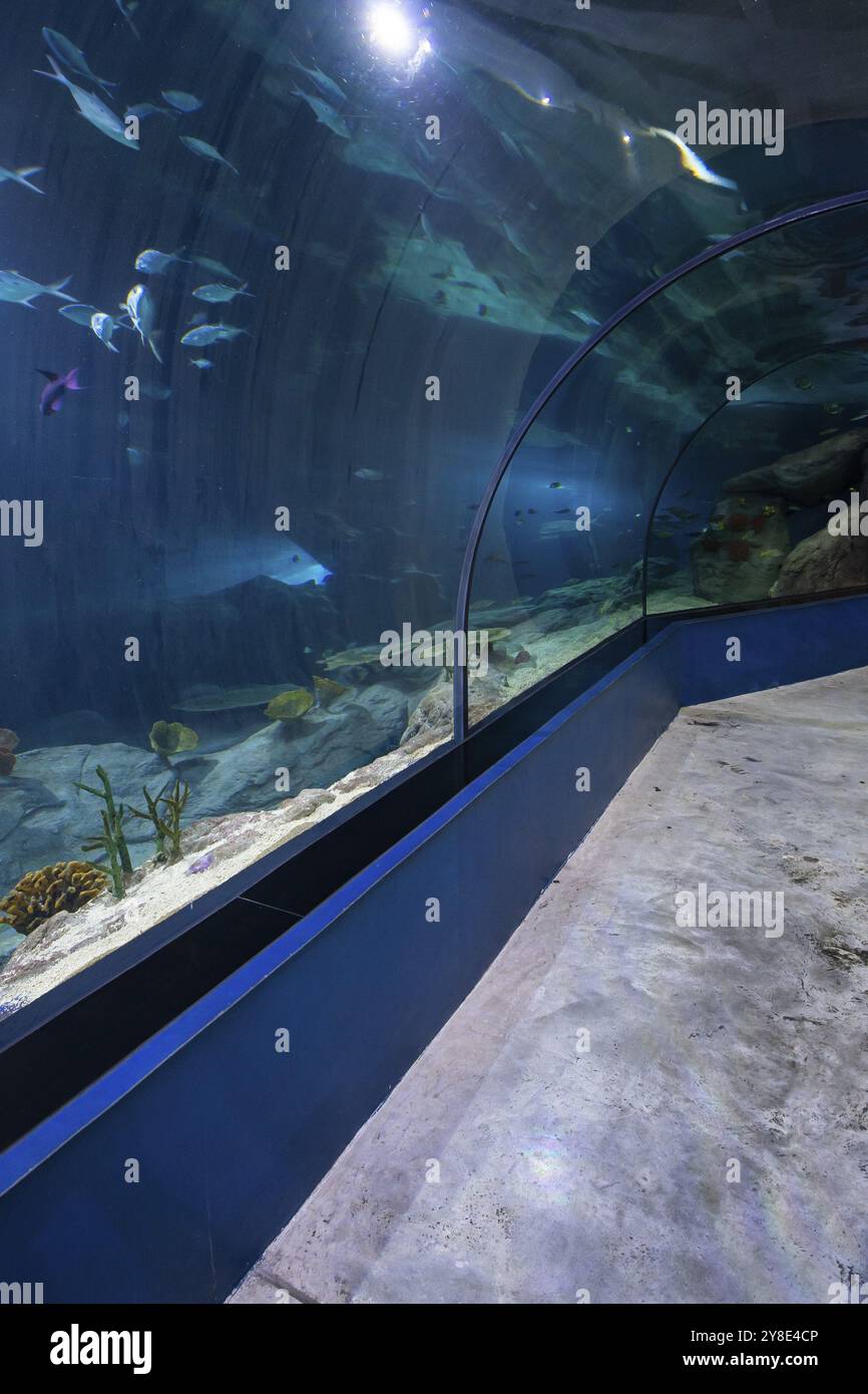Exhibition room, aquarium, Odysseo Oceanarium Mauritius, show aquarium ...