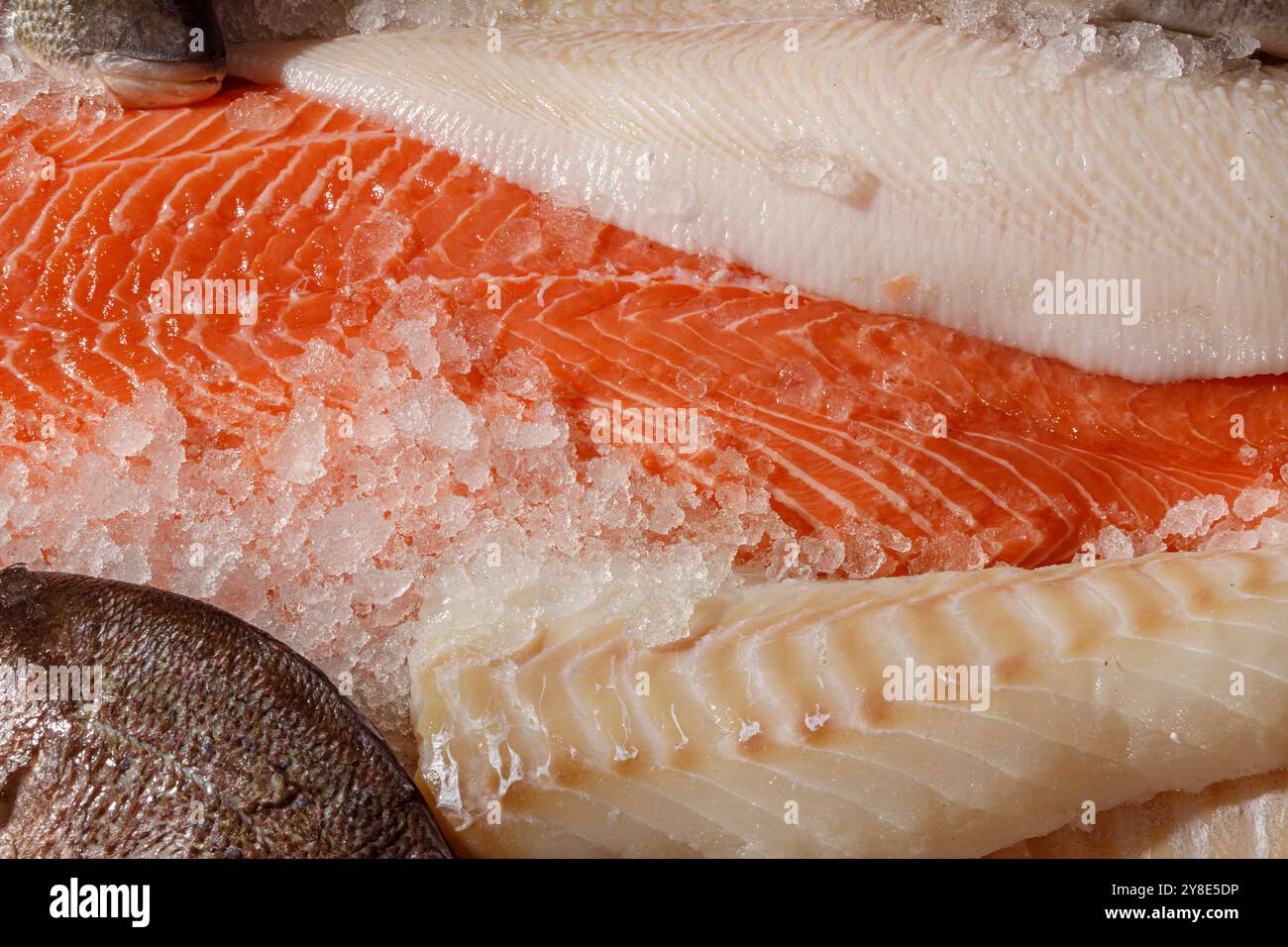 Delicious Fresh Seafood Selection Featuring Salmon and Assorted Fillets ...