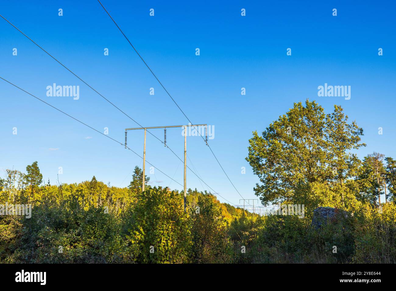 Electric power lines running through autumn forest under clear blue sky ...