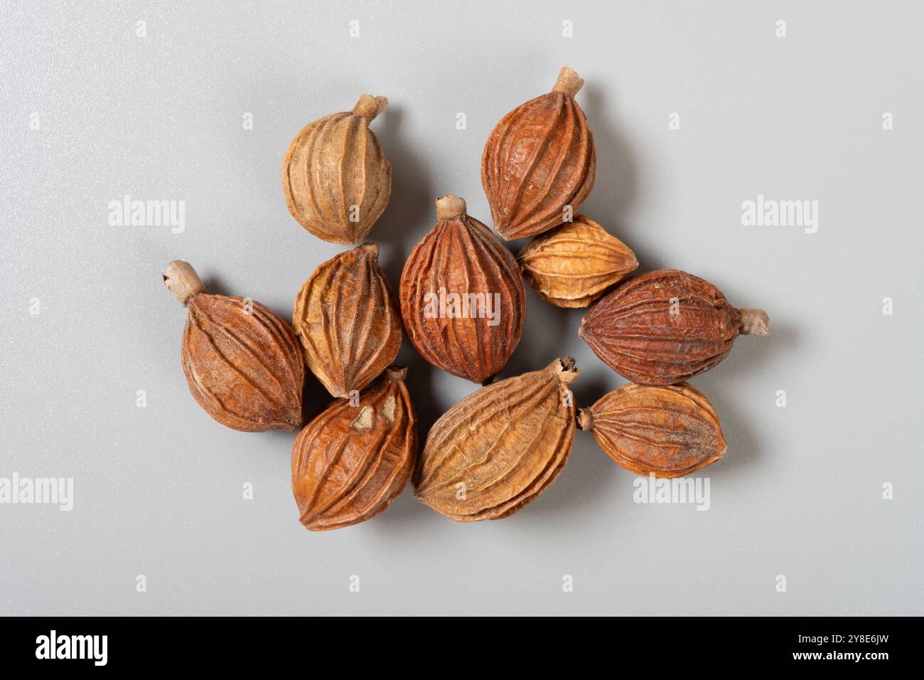 Xiangsharen hi-res stock photography and images - Alamy