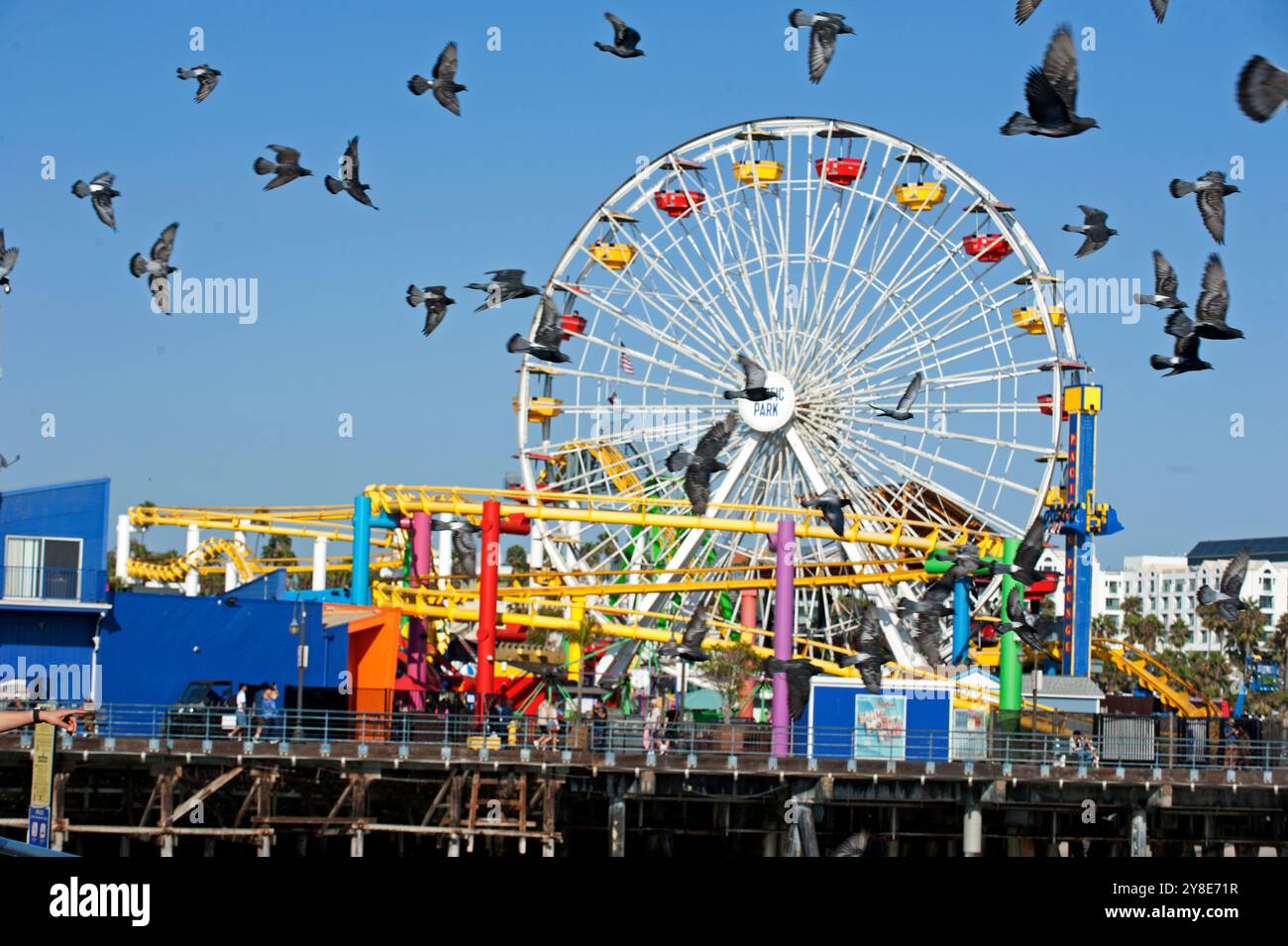 A flock of pigeons flying over the Santa Monica Pier, Santa Monica, Los ...