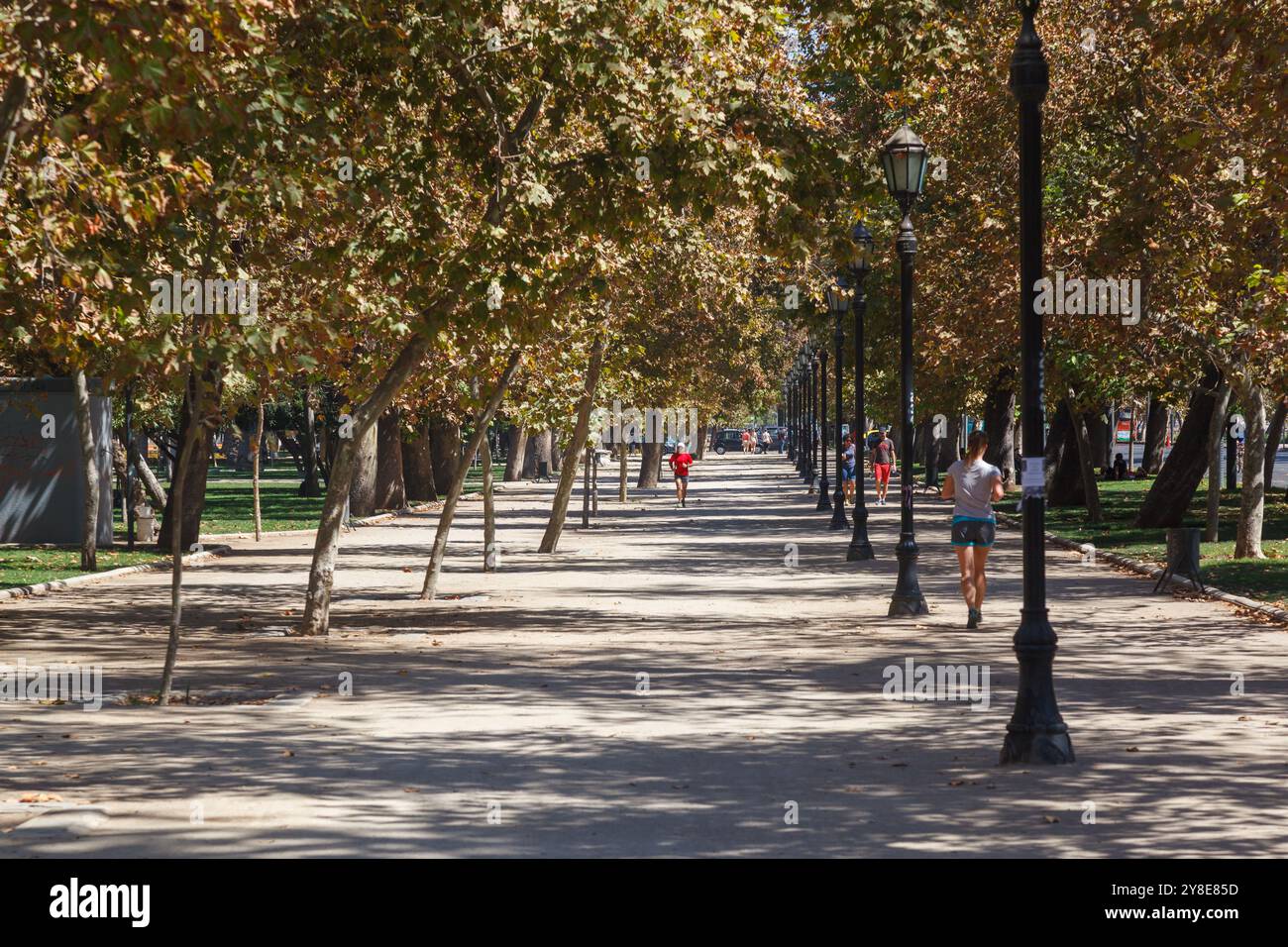 The elegant Parque Forestal park with autumn leaves trees in Santiago ...